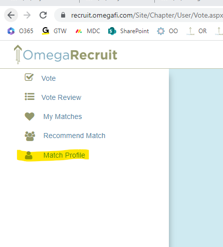 How do users set up their match profile and why is this important ...